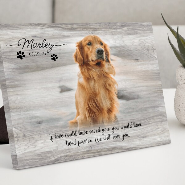 Dog Sympathy Gift - 60+ Gift Ideas for 2024