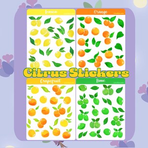 Citrus Gouache Stickers | Lemon | Orange | Lime | Grapefruit | Cute ...
