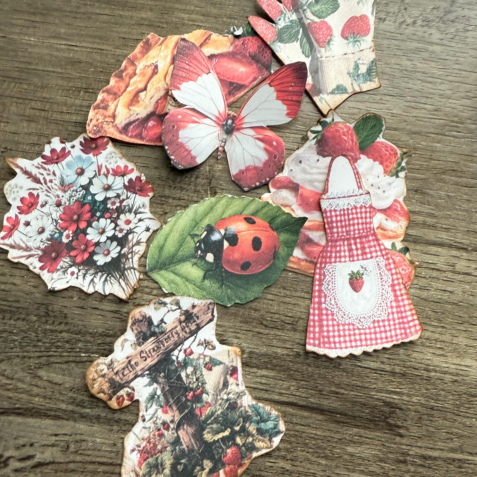 Strawberry Summer Hidden Paperclip Kit – Vintage Printable Ephemera ...
