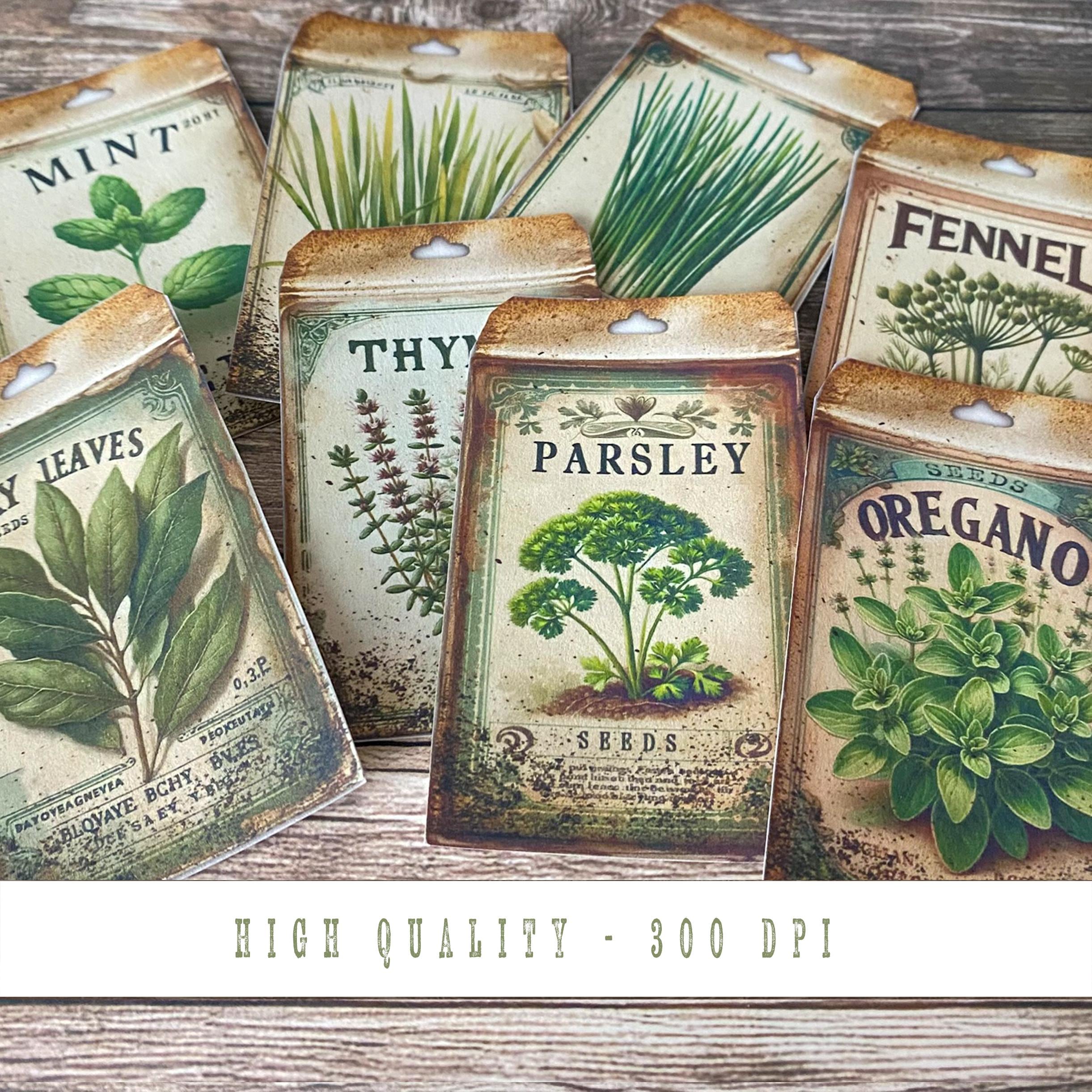 Vintage Herb Seed Packets – Printable Botanical Labels – Digital Junk ...