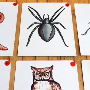 Vintage Halloween/spooky Flashcards Set of 9 Large Vintage - Etsy