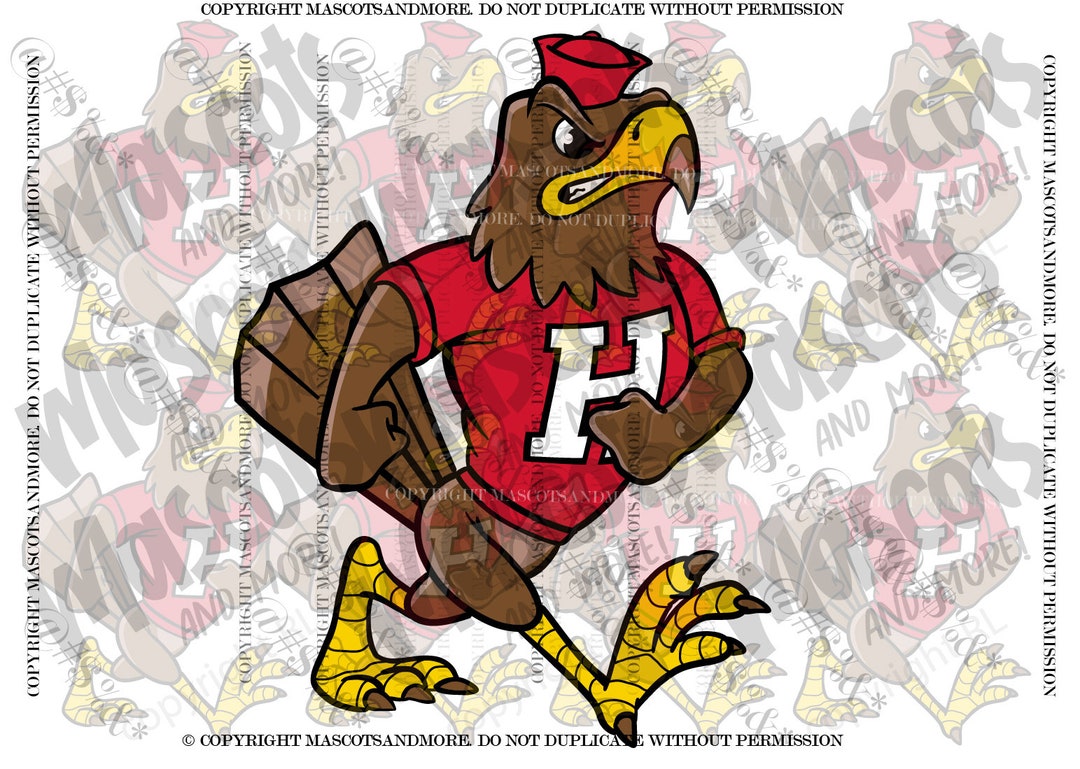 Retro Hawk Mascot in Vector Jpeg Png Pdf Eps Svg - Etsy