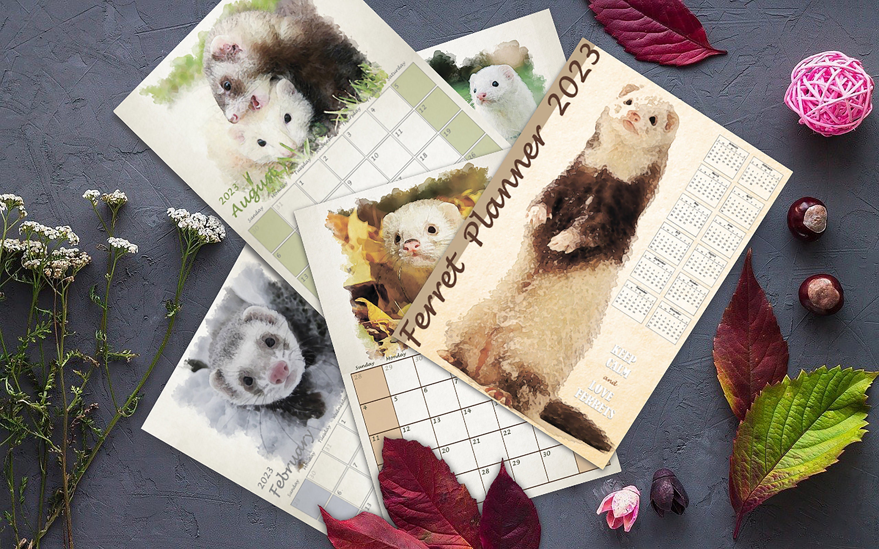 Ferret Calendar 2023 With Watercolor Paintings Digital - Etsy Australia