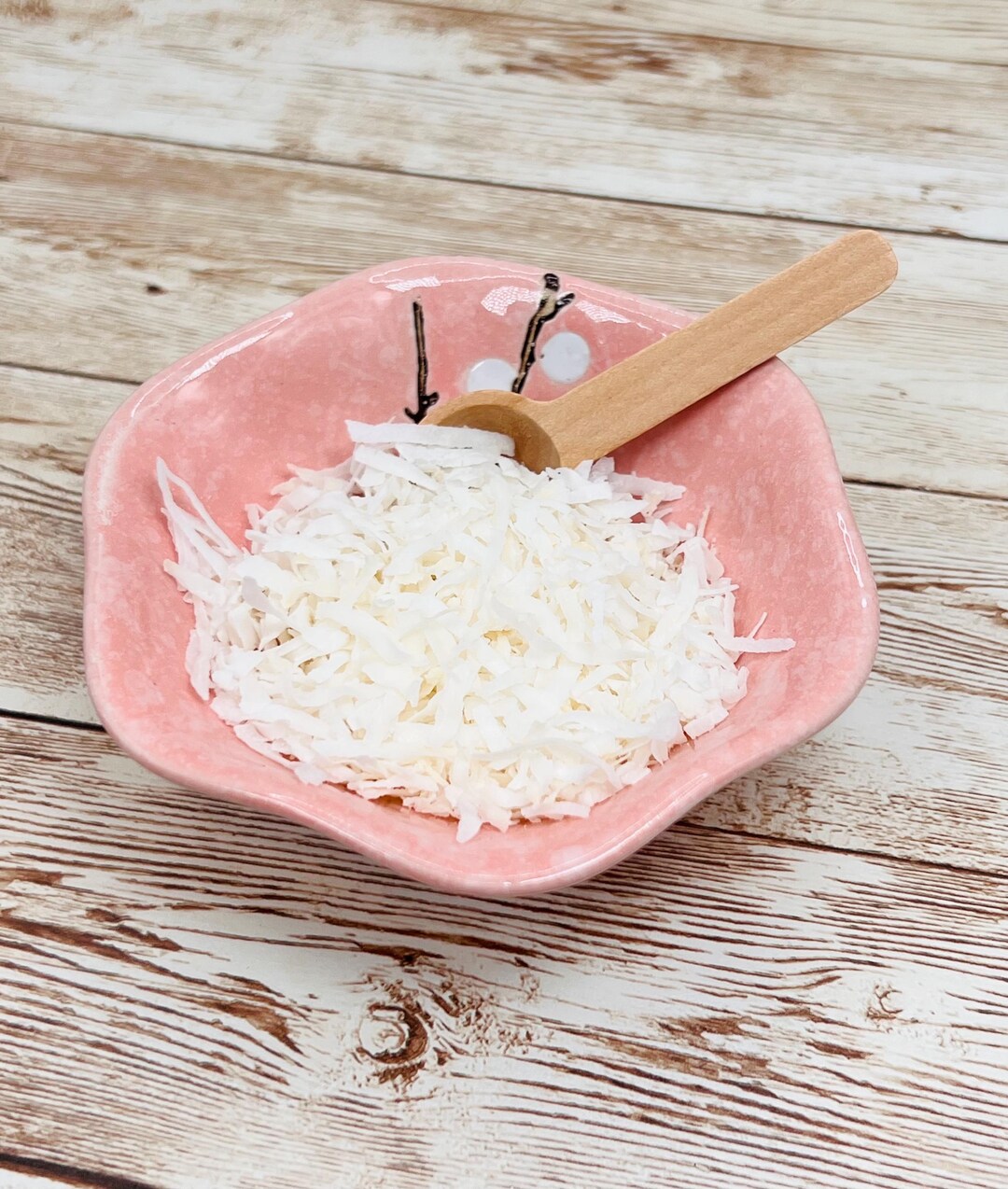 Organic Coconut Hermit Crab Food - Etsy