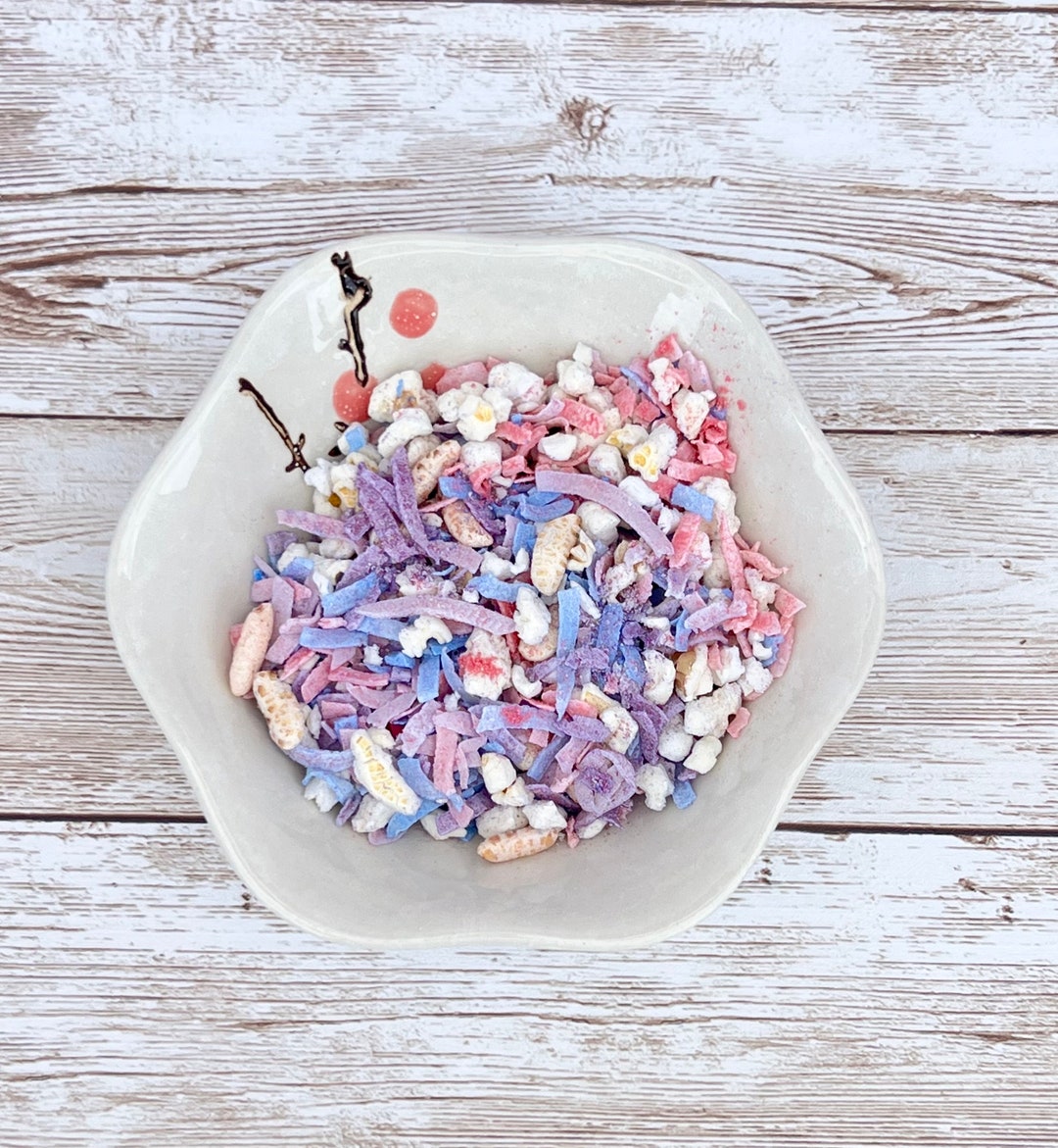 Coconut Calypso Hermit Crab Food - Etsy