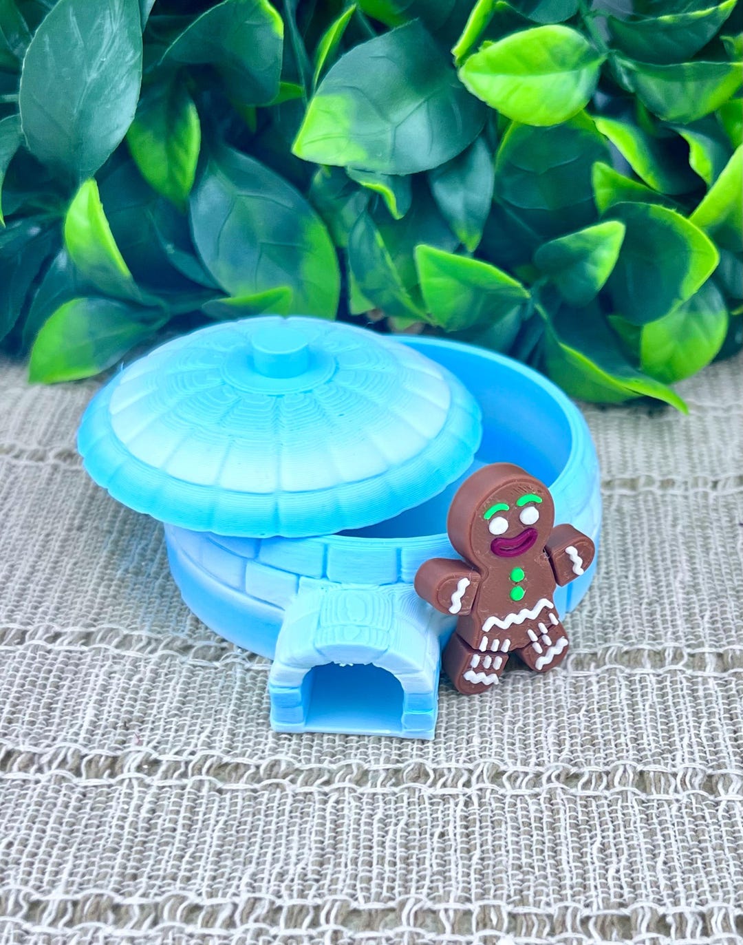 Hermit Crab Igloo Sand / Foraging Box. Limited - Etsy