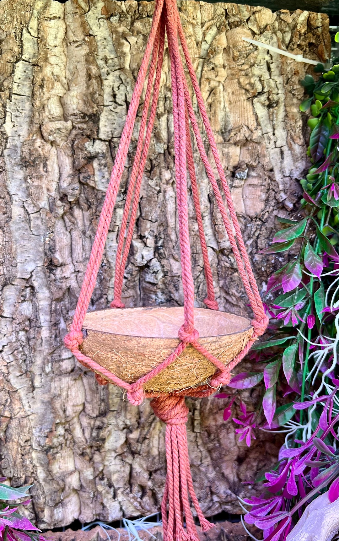 Hanging Coconut Hermit Crab Swing (coral/pink) Crabpax - Etsy