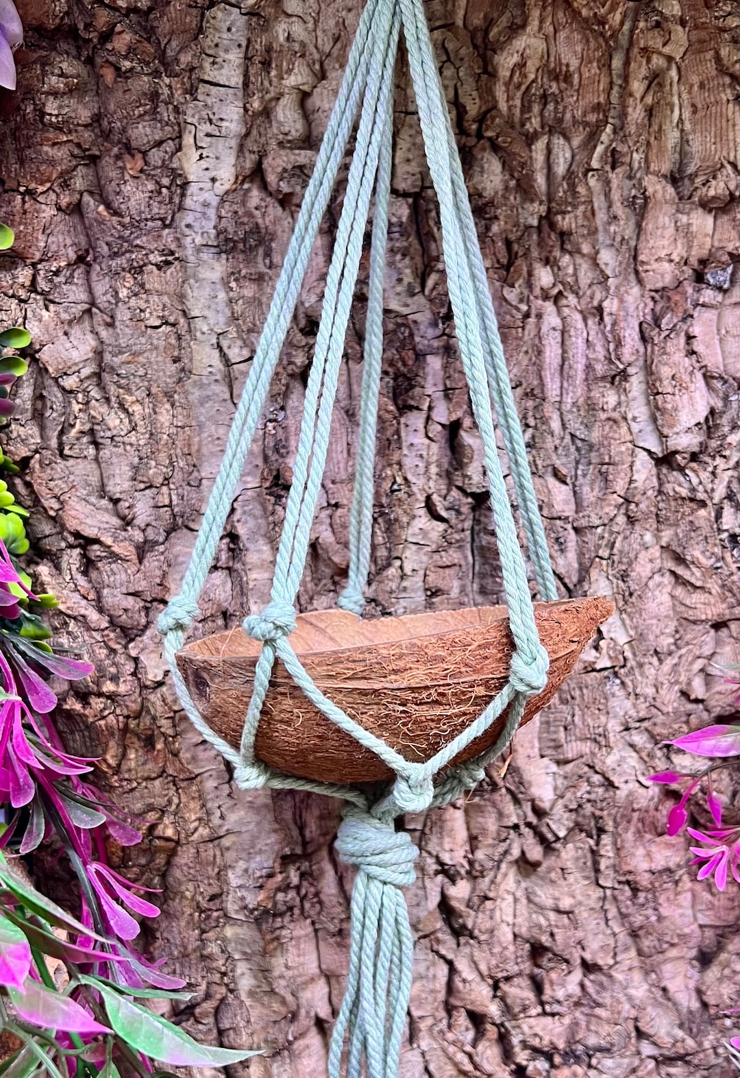 Hanging Coconut Hermit Crab Swing (sage) Crabpax - Etsy