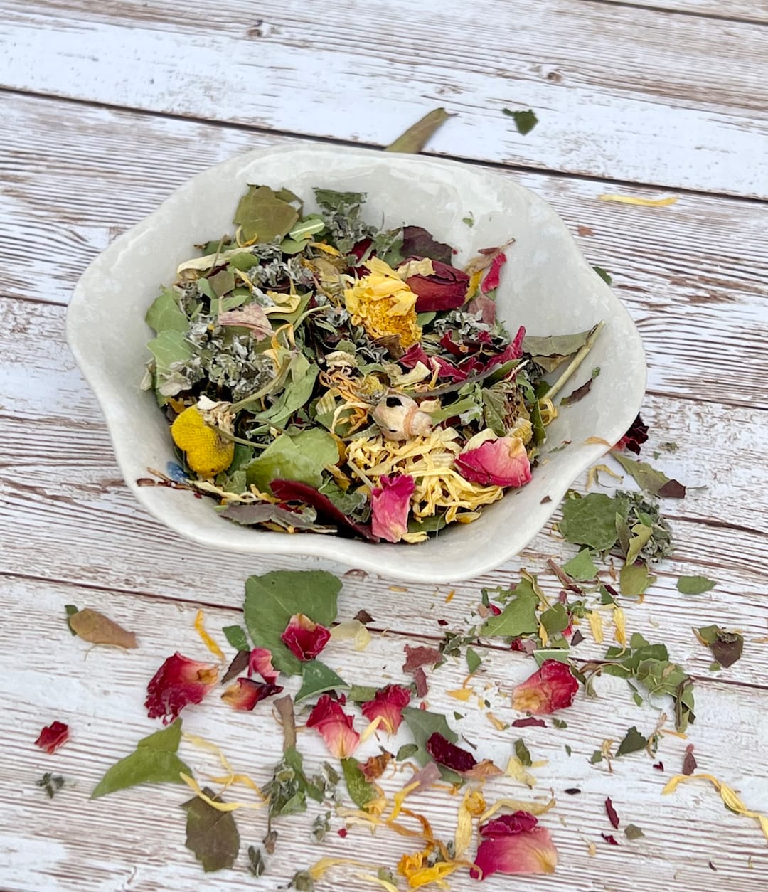 Fabulous Foraging Mix Hermit Crab Food - Etsy