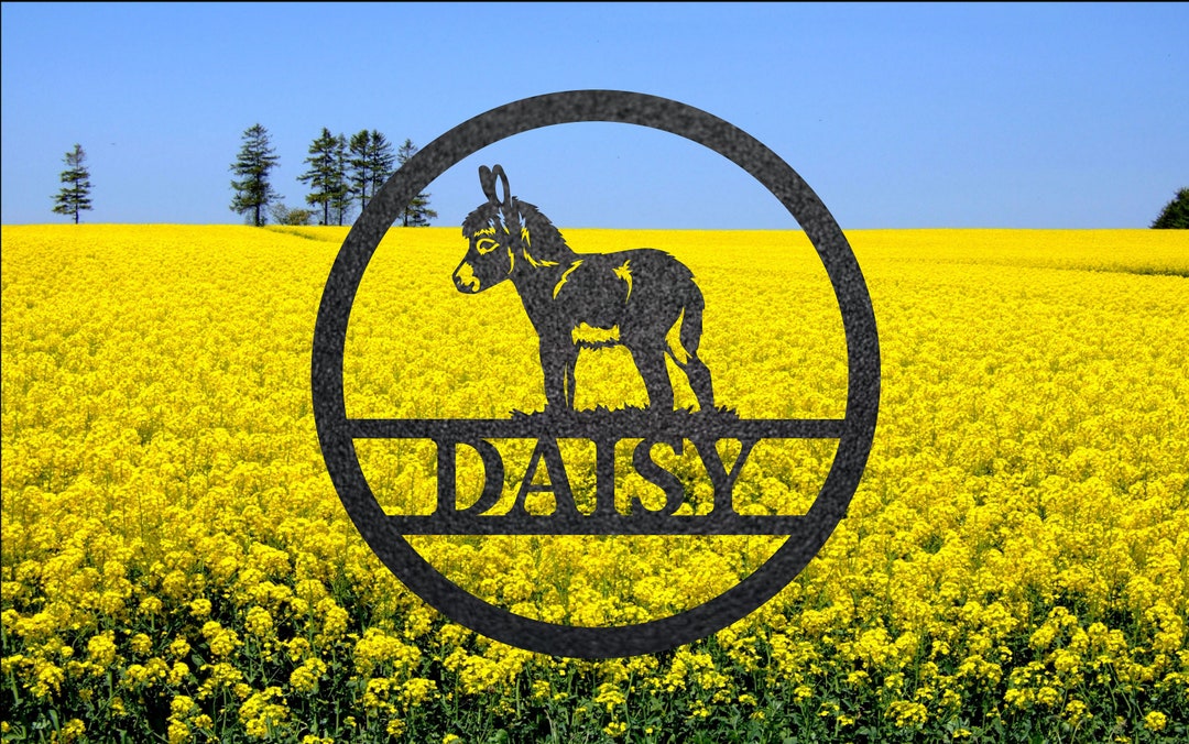Custom Miniature Donkey Sign - Metal Donkey Signs - Miniature Donkey ...