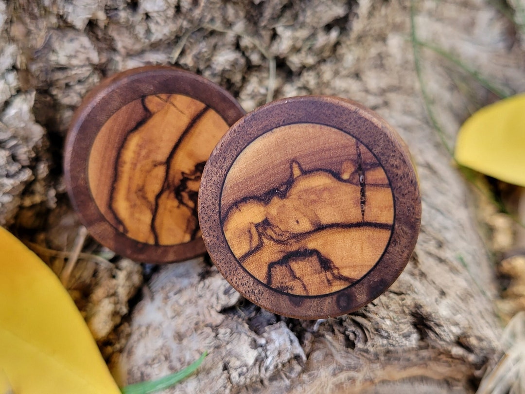Pair of Claro Walnut Plugs Thin Border With Bethlehem Olivewood Inlay ...