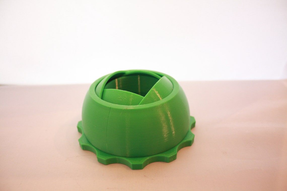 3D Printed Venus Box | Etsy