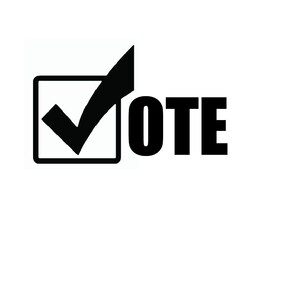 Vinyl Decal Vote Laptop Sticker Laptop Decal Book Decal Car Decal Party ...