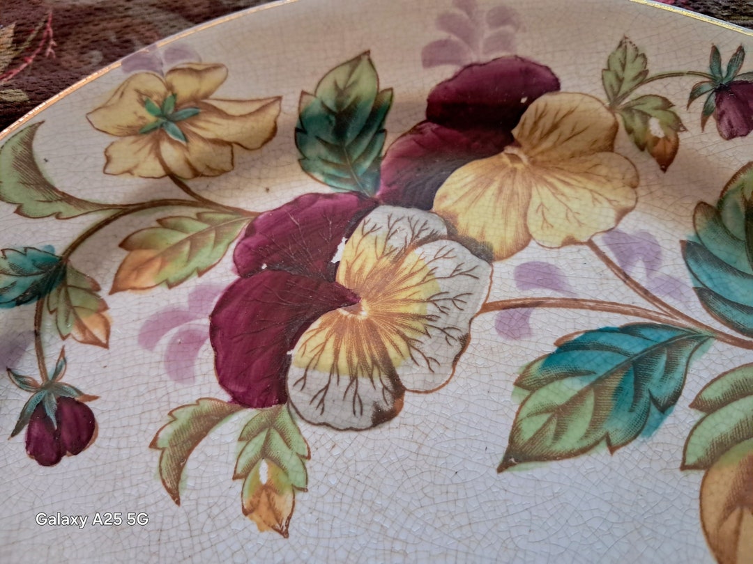 Rare Pansy Antique Ironstone S.P. Co 1800s Platter & Plate Set - Etsy