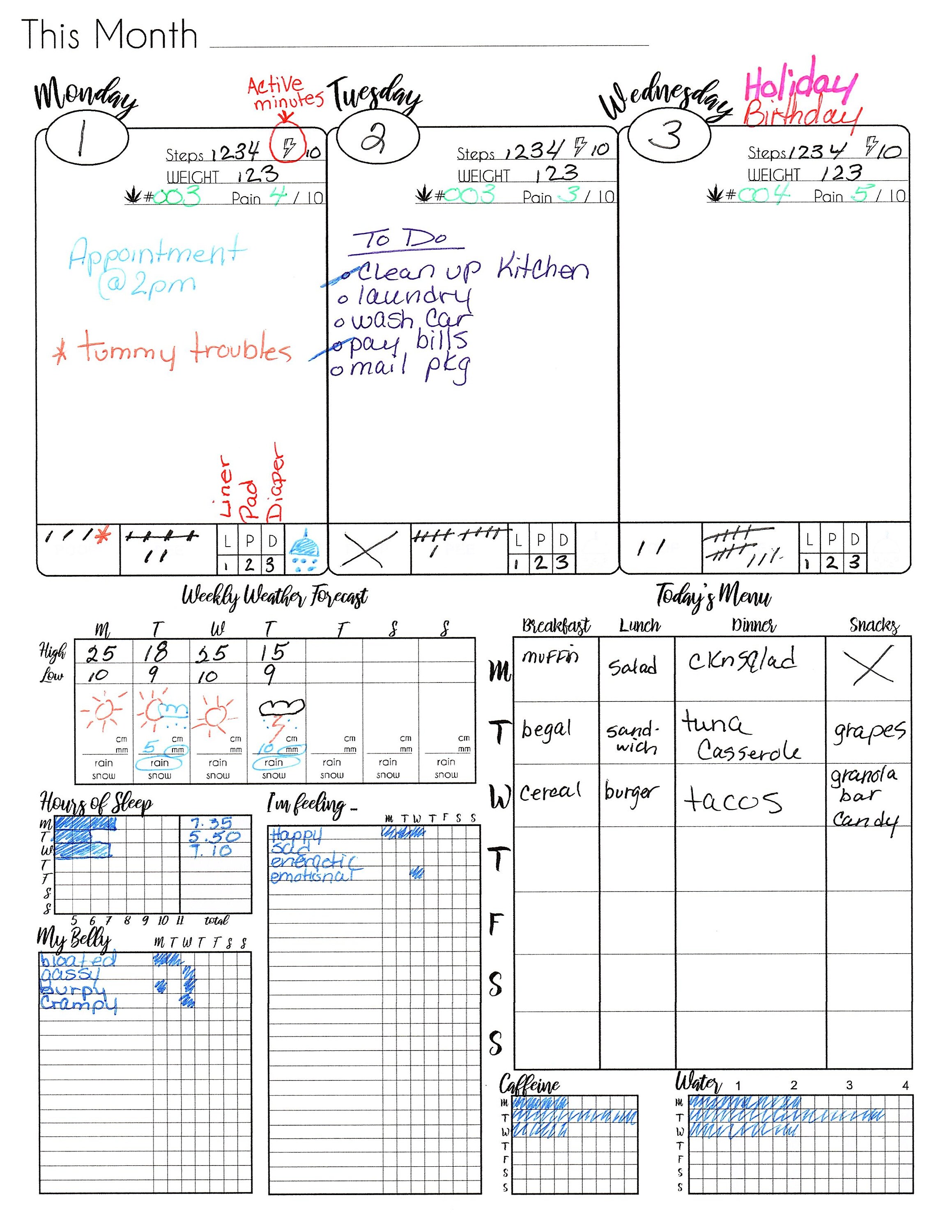 Chronic Illness Weekly Planner Insert/ Cannabis Tracker / Spoonie Diary ...