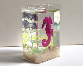 Miniature Seahorse - Etsy