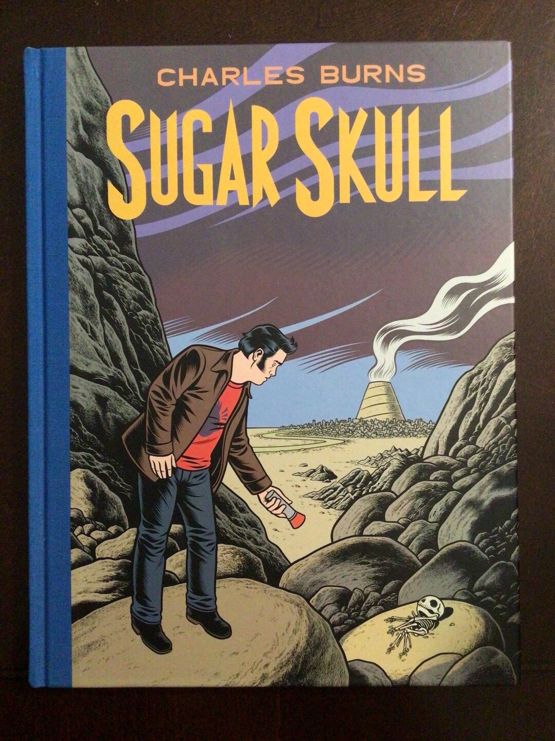 Charles Burns, Sugar Skull, First Edition, 2014, Pantheon Books ...