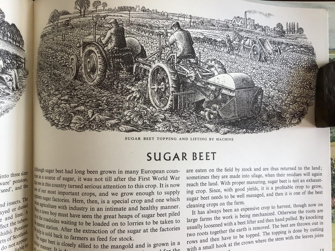 Farm Crops in Britain by Sir George Stapledon, Illustrated by S.R ...