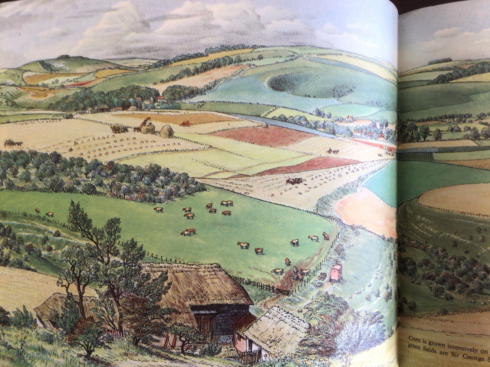 Farm Crops in Britain by Sir George Stapledon, Illustrated by S.R ...