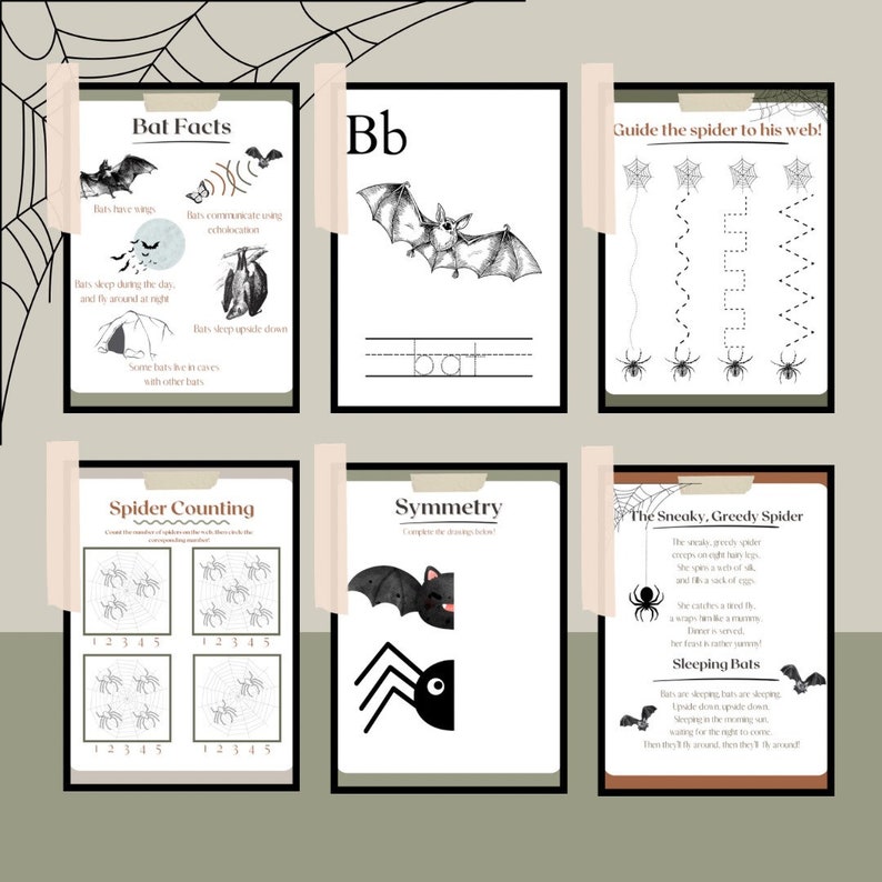 Bat and Spider Study Bat Printables Spider Printables Nature Study ...