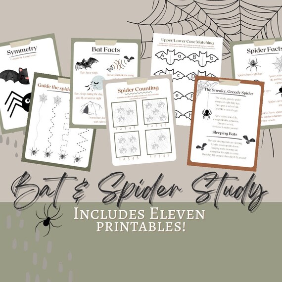 Bat and Spider Study Bat Printables Spider Printables - Etsy