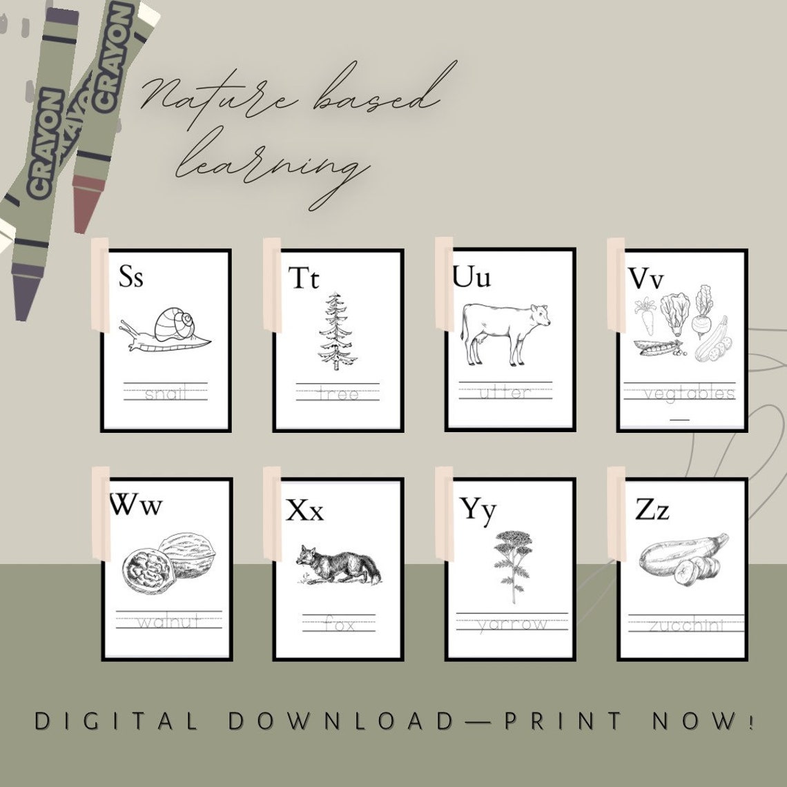 Nature Based Coloring Sheets Homeschool Printables - Etsy