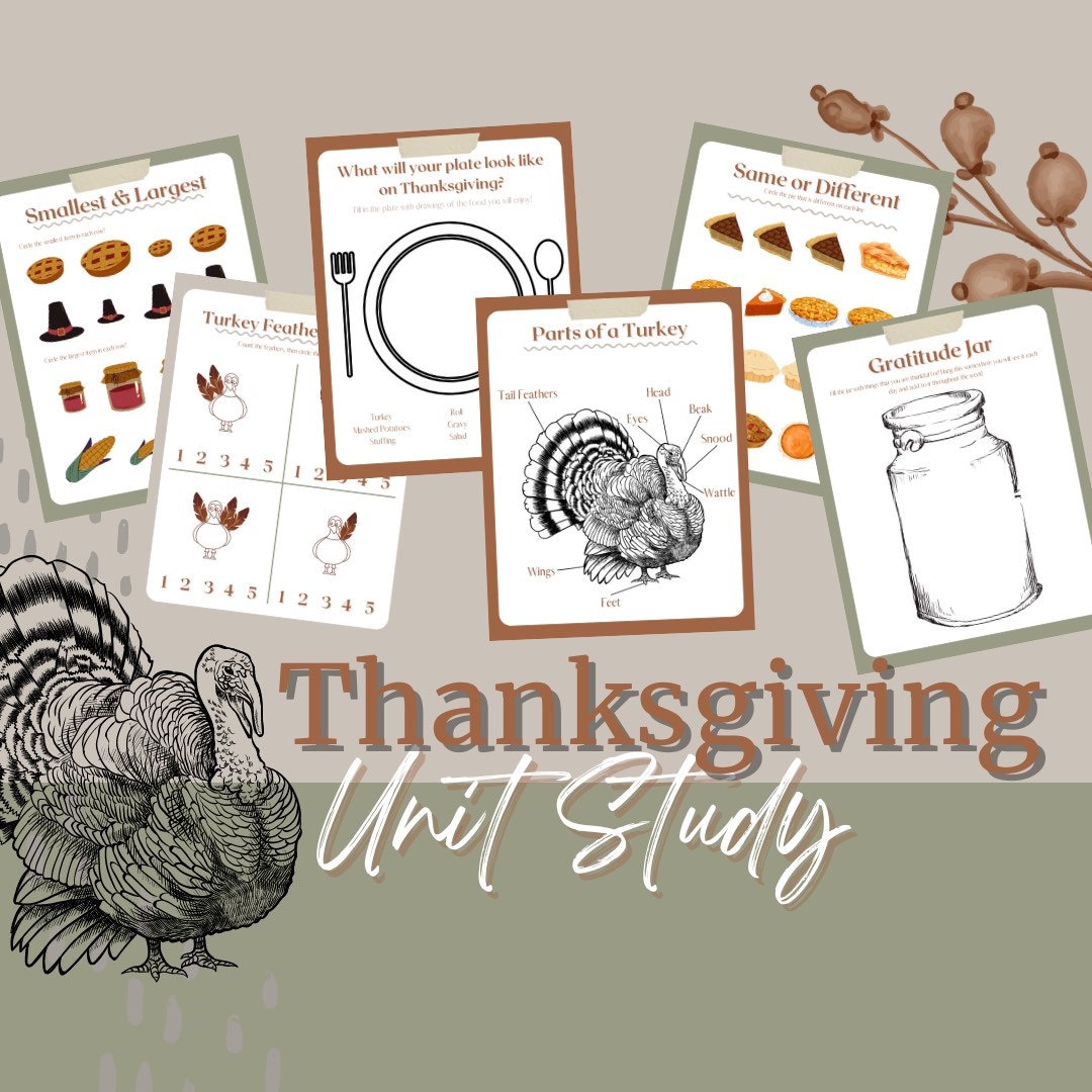Thanksgiving Preschool Printables Thanksgiving Homeschool - Etsy