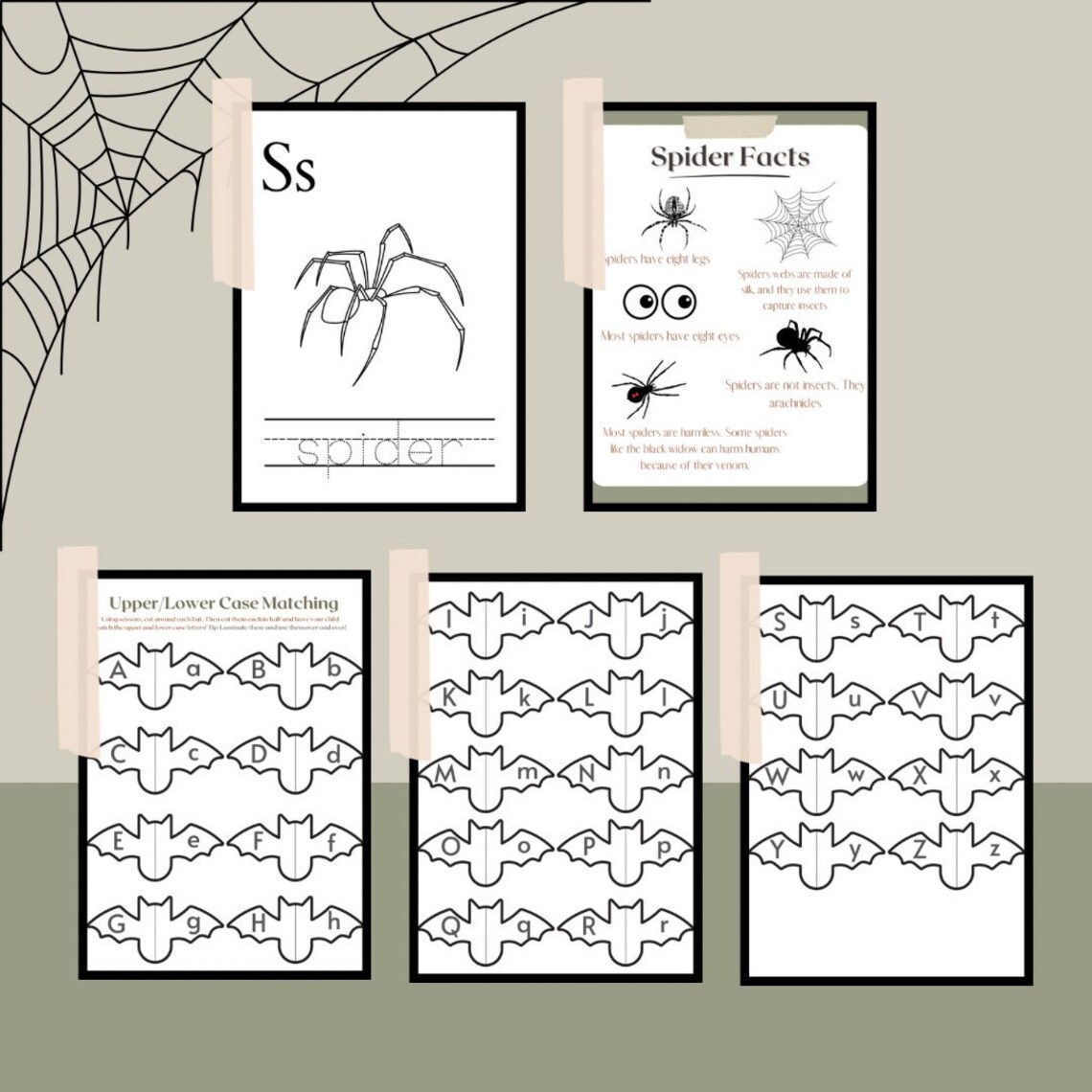 Bat and Spider Study Bat Printables Spider Printables Nature Study ...