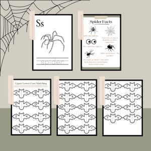 Bat and Spider Study Bat Printables Spider Printables Nature Study ...