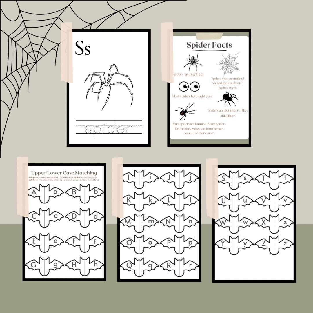Bat and Spider Study Bat Printables Spider Printables Nature Study ...