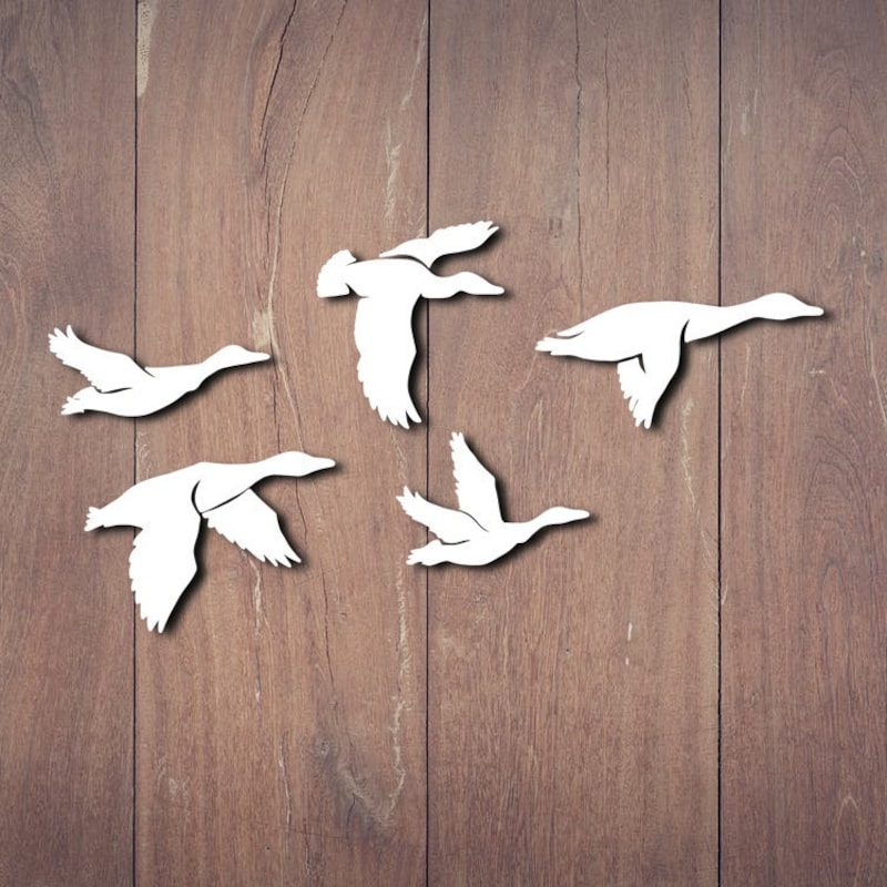 Duck Decals - Etsy