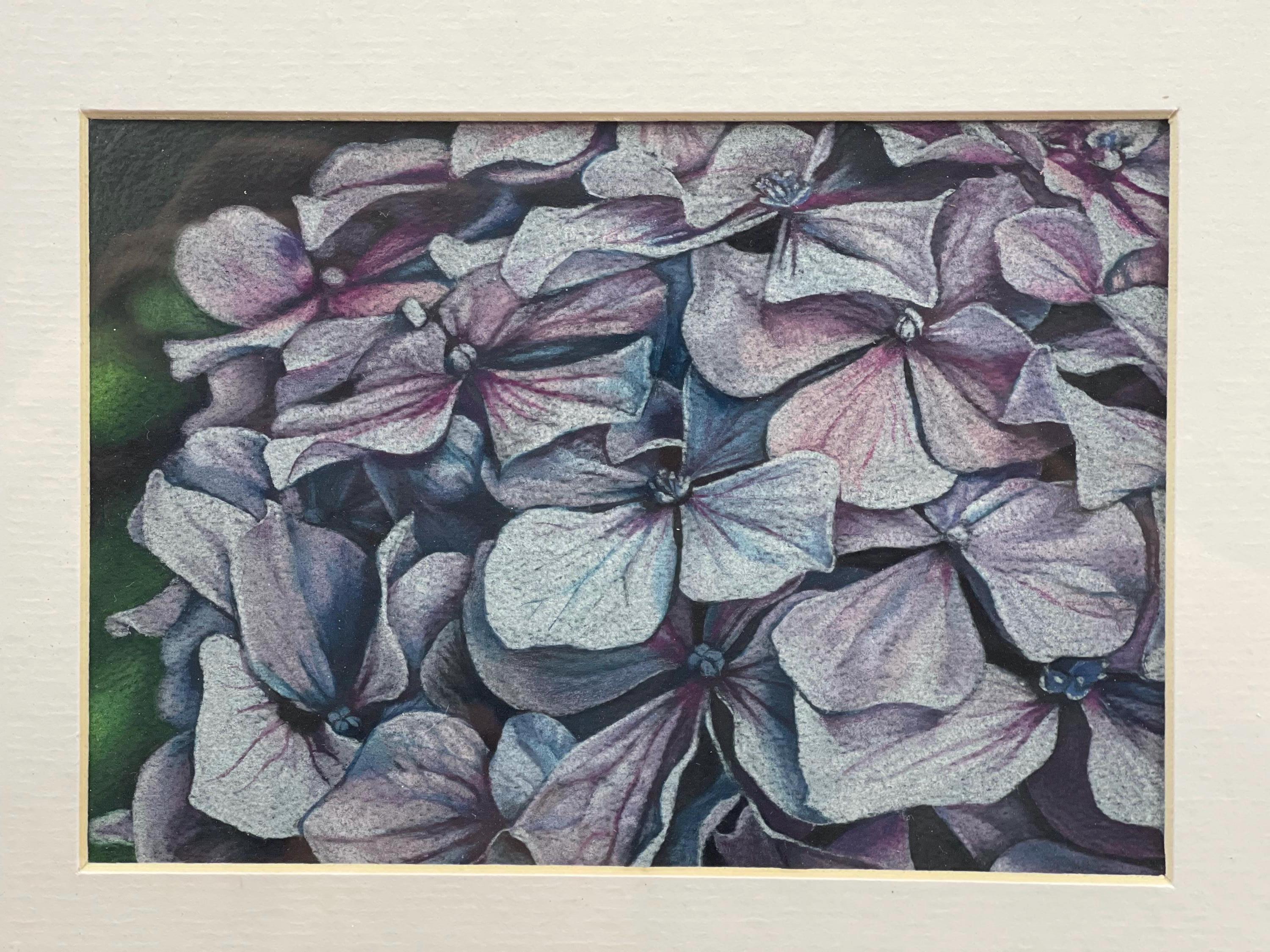 Blue Hydrangeas- Colored Pencil Drawing - Etsy