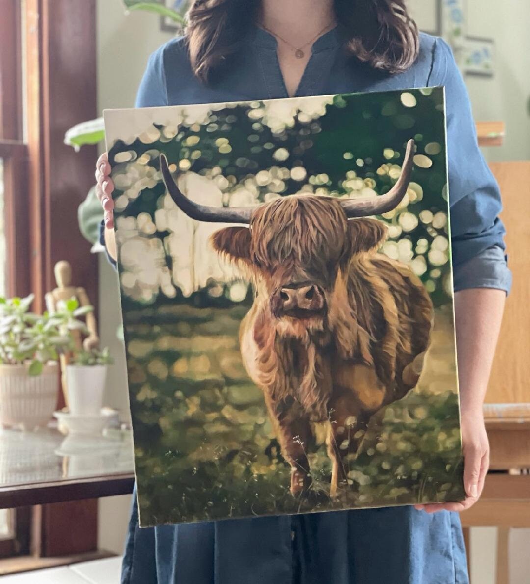 Highland Cow Original Oil Painting - Etsy