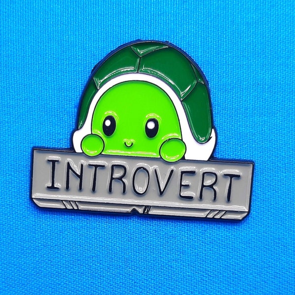 Turtle Enamel Pin - Etsy