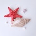 Sea Shell Felt PDF Pattern Download, Plush Sewing Pattern for Conk ...
