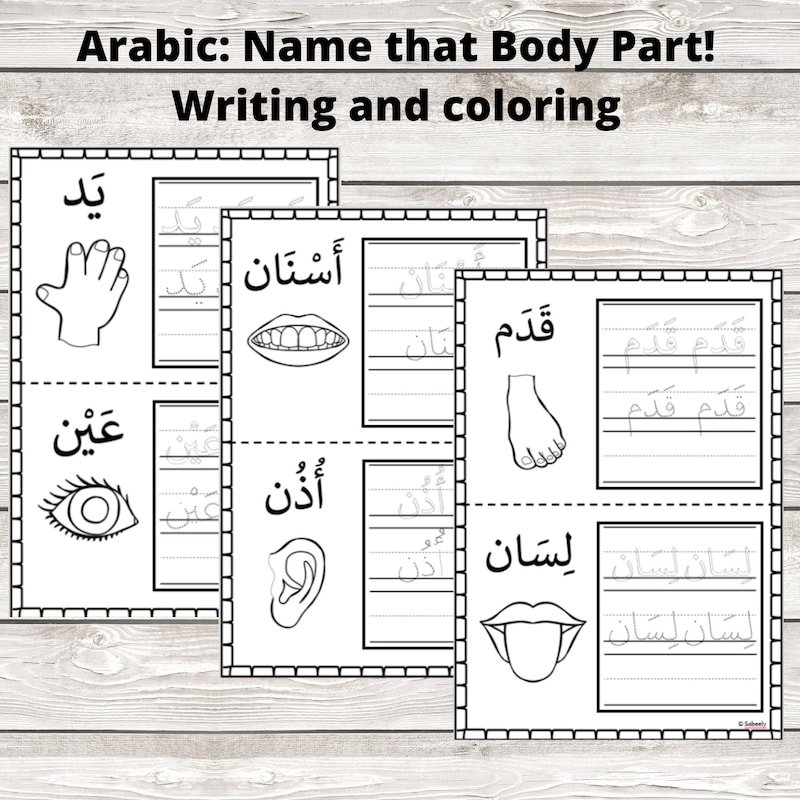 Parts of the Body - Etsy