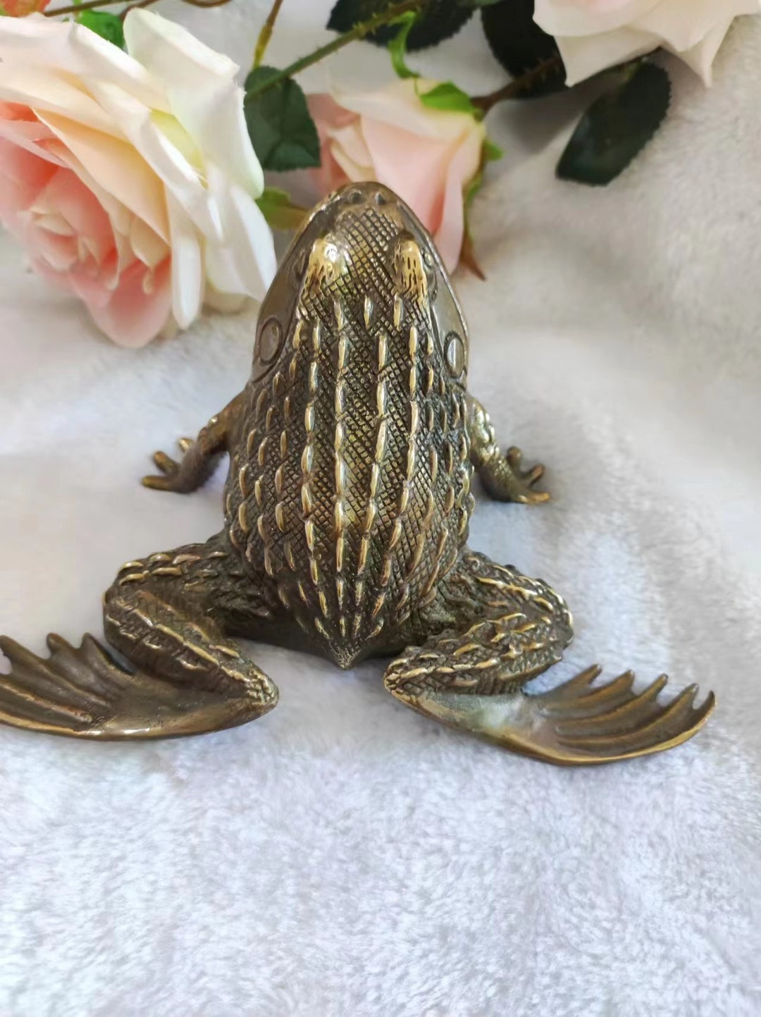 Feng Shui Toad Money Lucky Fortune Wealth Chinese Golden Frog Toad Coin ...