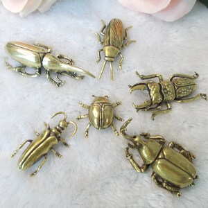 Set of 9 Pcs Golden Beetle Entipede Xylotrupes Dichotomus Uang Unicorn ...