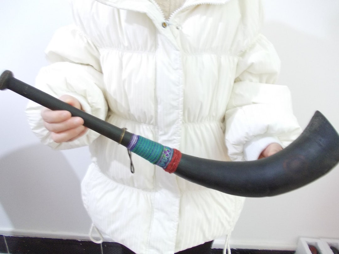 Water Buffalo Horn Treats Trumpet Musical Instruments Natural - Etsy