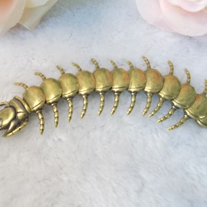 Set of 9 Pcs Golden Beetle Entipede Xylotrupes Dichotomus Uang Unicorn ...