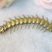 Set of 9 Pcs Golden Beetle Entipede Xylotrupes Dichotomus Uang Unicorn ...