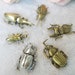 Set of 9 Pcs Golden Beetle Entipede Xylotrupes Dichotomus Uang Unicorn ...