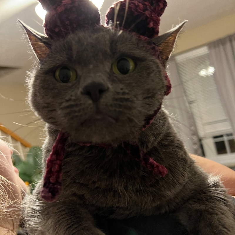 Chowder Cartoon - Etsy