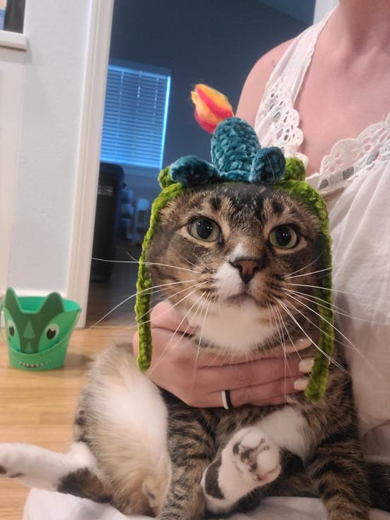 Cat Chowder Hat - Etsy