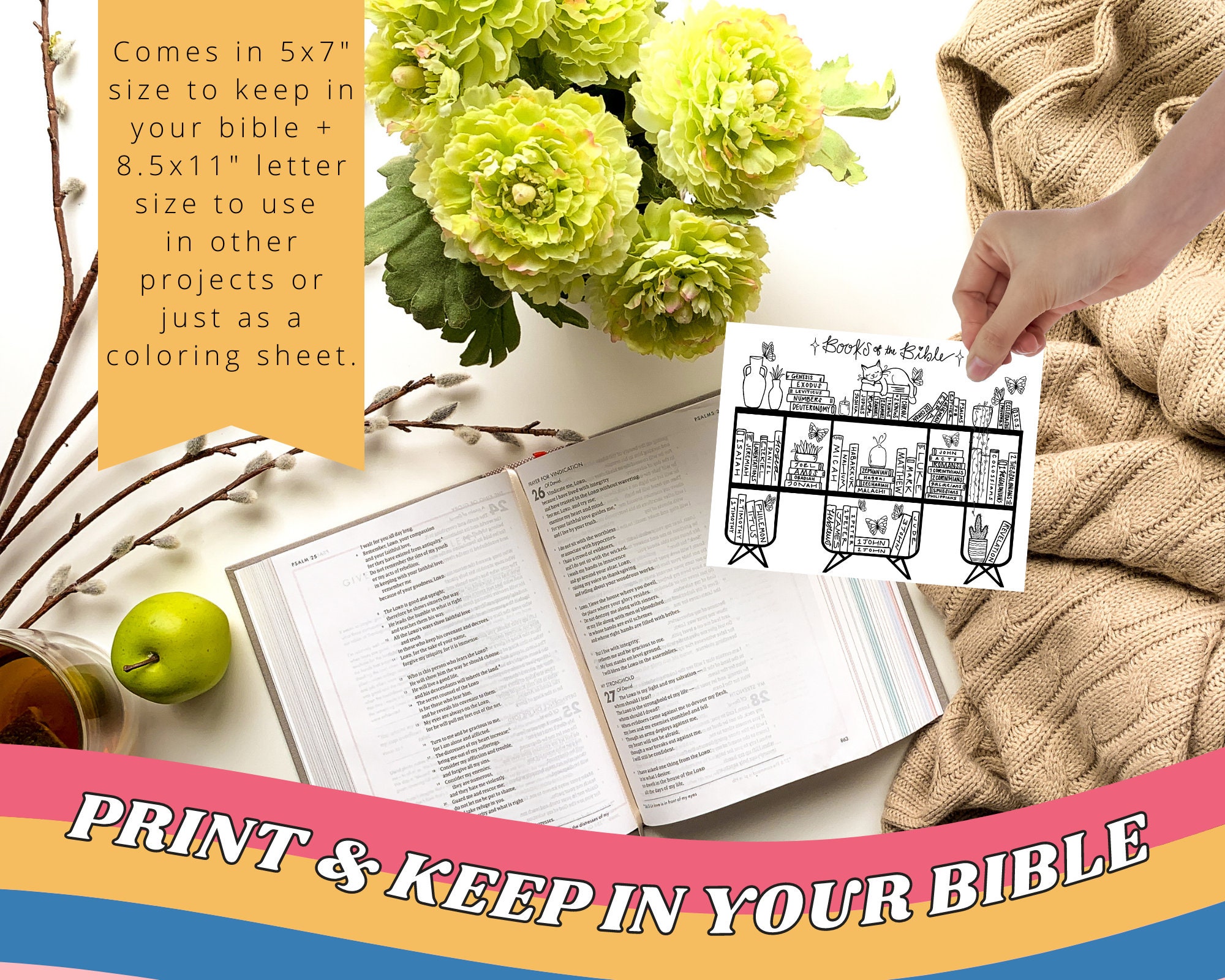 Books of the Bible Coloring Page- Printable Color Sheet for Bible ...
