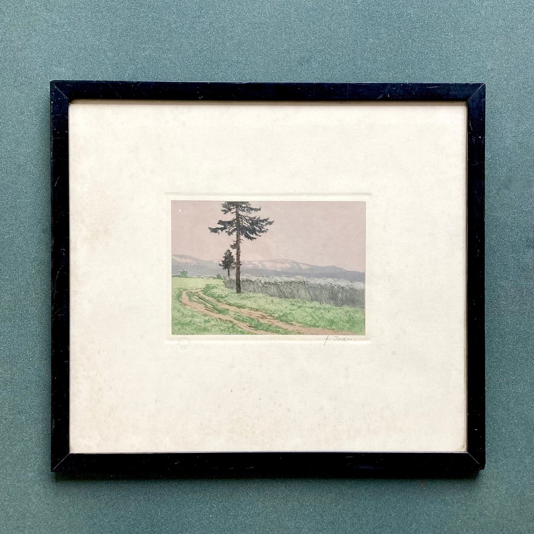 Antique German Lithograph in Color Signed by Artist Iwan, Framed Litho ...