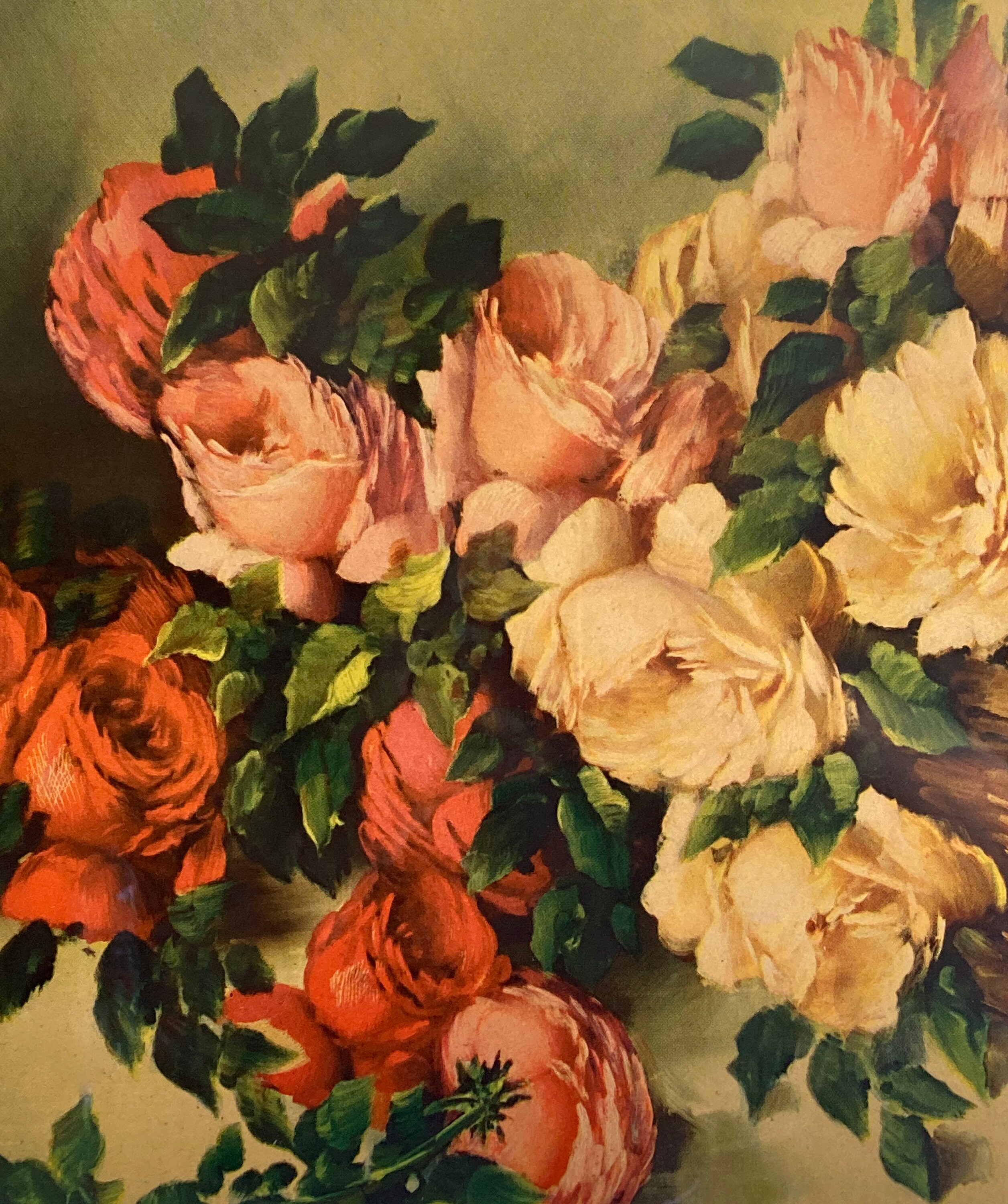 Large Vintage French Flower Print 1940s Colorful Roses Framed - Etsy