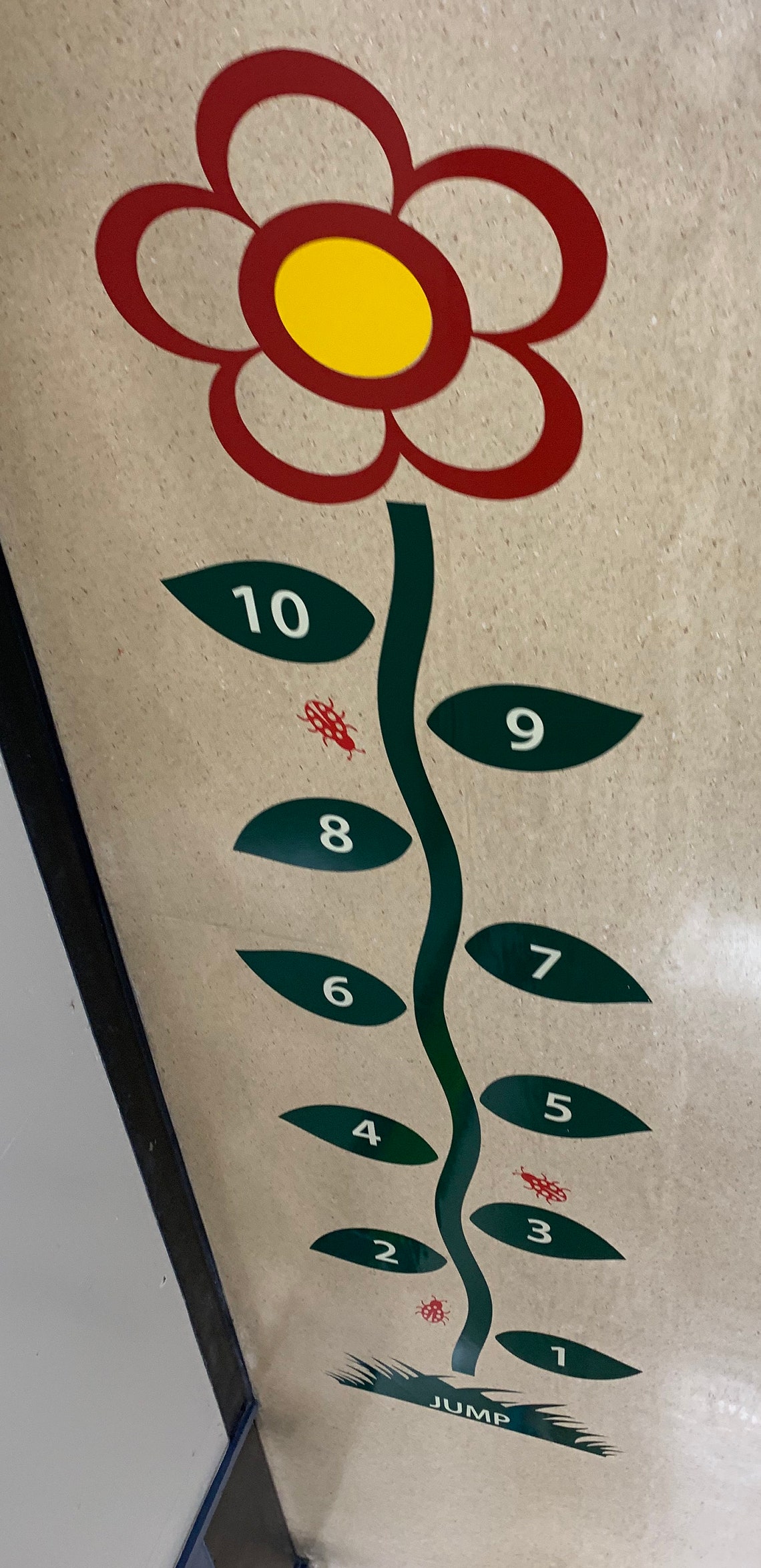 Flower, Sensory Path, Sensory, Wall Decals, Educational Decal, School ...