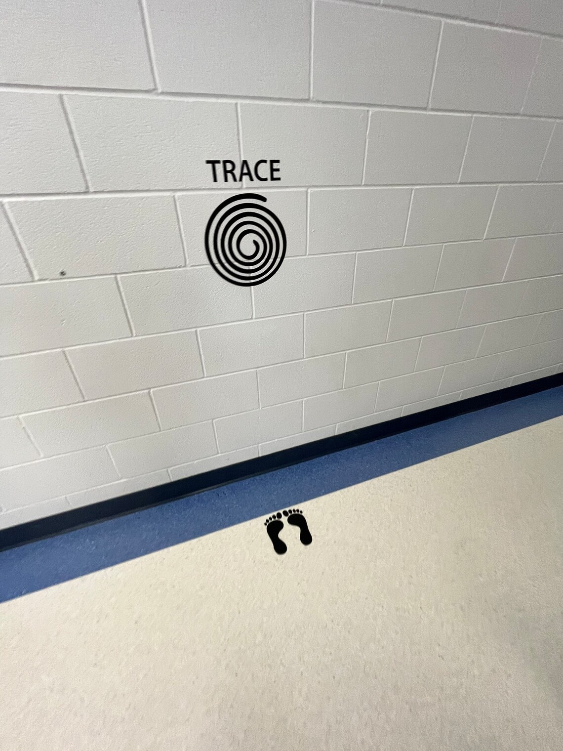 Trace - Sensory Path, Sensory, Wall Decals, Educational Decal, School ...
