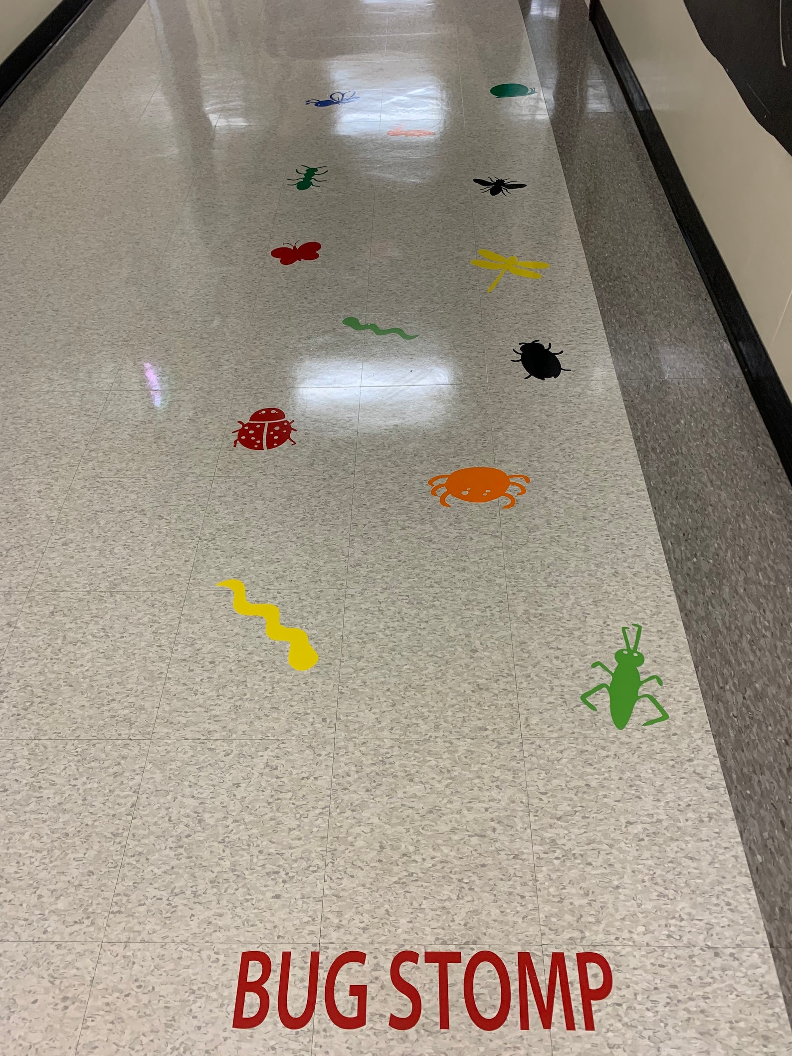 Bug Stomp, Sensory Path, Sensory, Wall Decals, Educational Decal ...